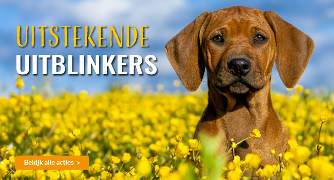 De grootste dierenwinkel in de regio Breda/Roosendaal