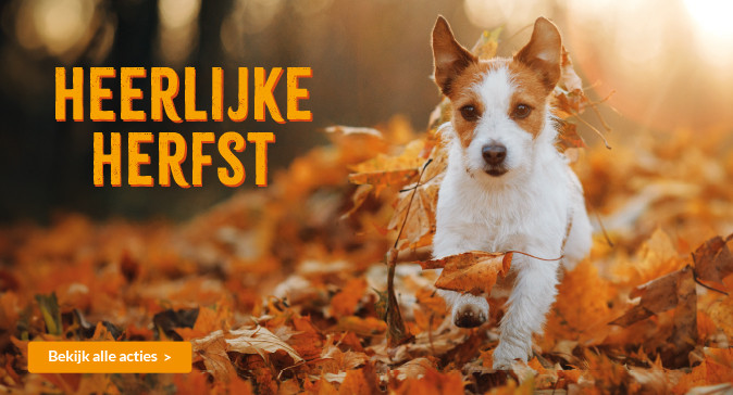 De grootste dierenwinkel in de regio Breda/Roosendaal